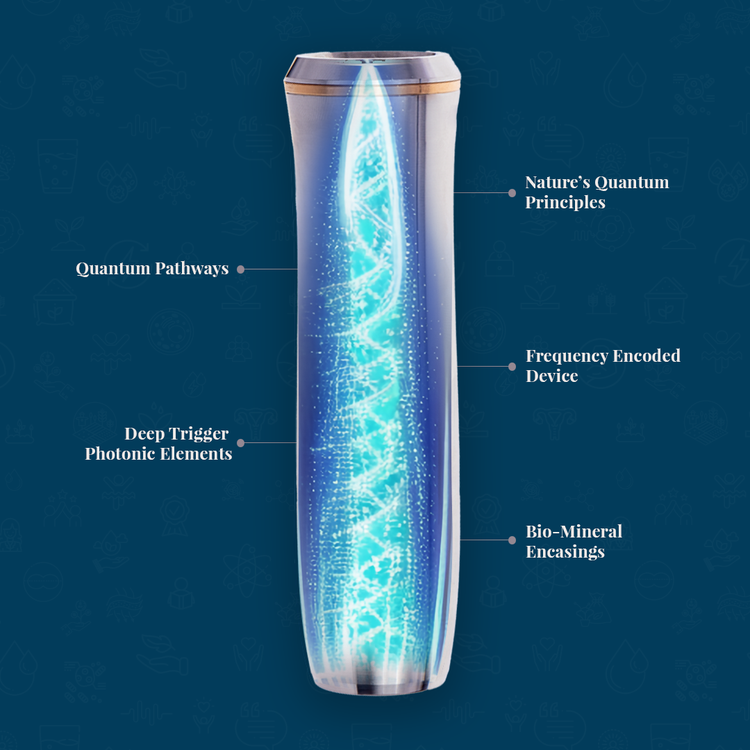 JIVA Water - Full of Life – Jiva Water