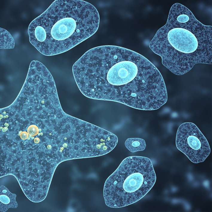 Cellular Hydration – Jiva Water